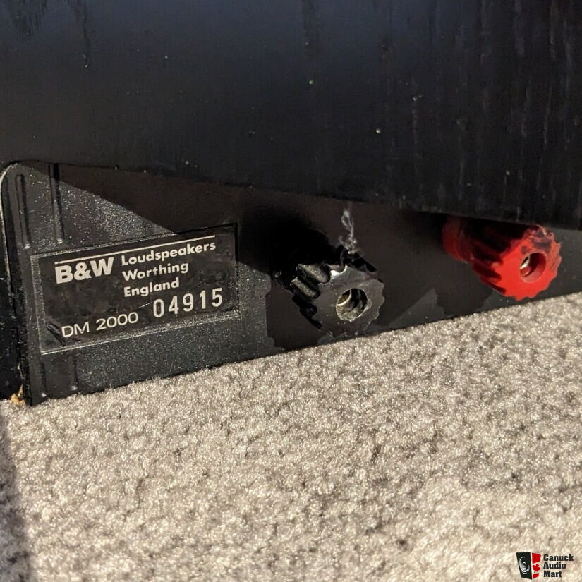 Bowers and Wilkins B&W DM2000 speakers Photo #4479530 - US Audio Mart