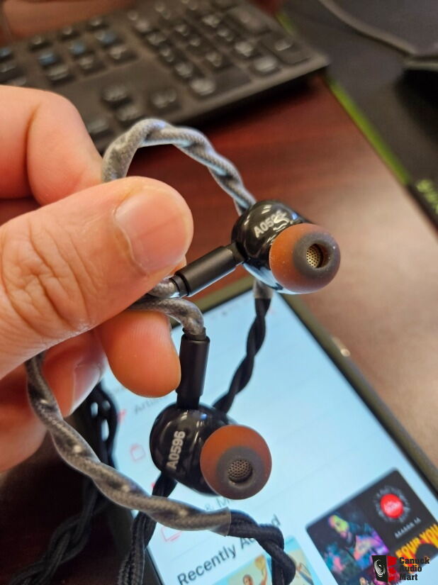 Fatfreq Maestro Mini Photo #4479583 - Canuck Audio Mart