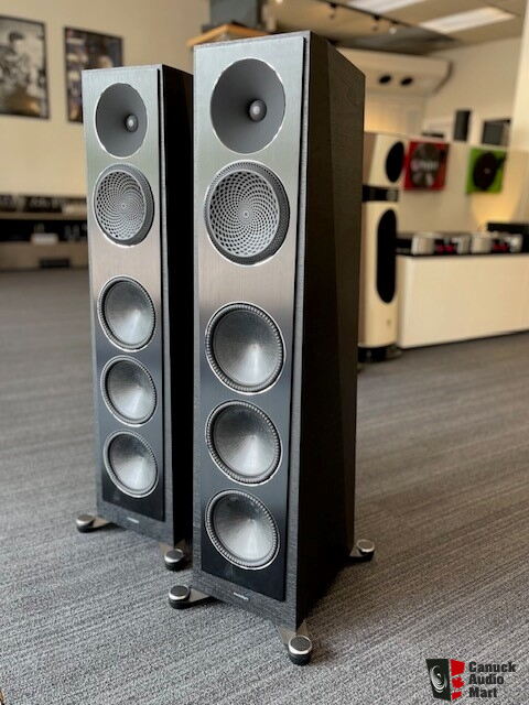 Paradigm Founder 100F (black walnut) (demo) Photo #4480925 - Canuck ...