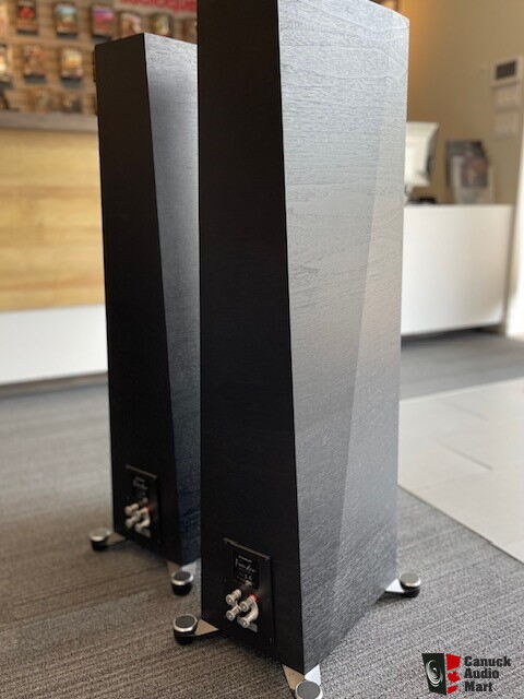 Paradigm Founder 100F (black walnut) (demo) Photo #4480926 - Canuck ...