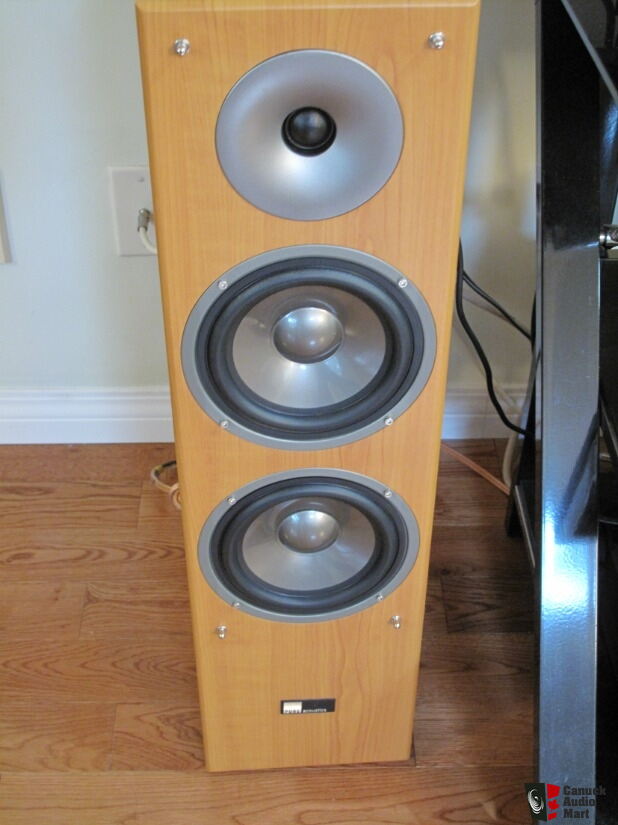 Pure Acoustics brand floor speakers Photo #4493431 - US Audio Mart