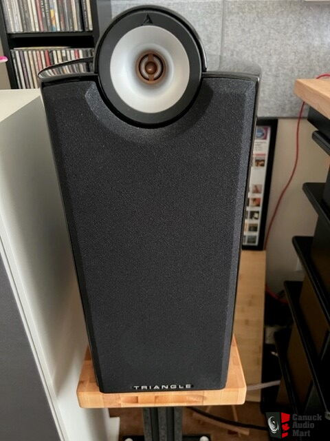 Triangle Theta Speakers Photo #4496042 - Canuck Audio Mart