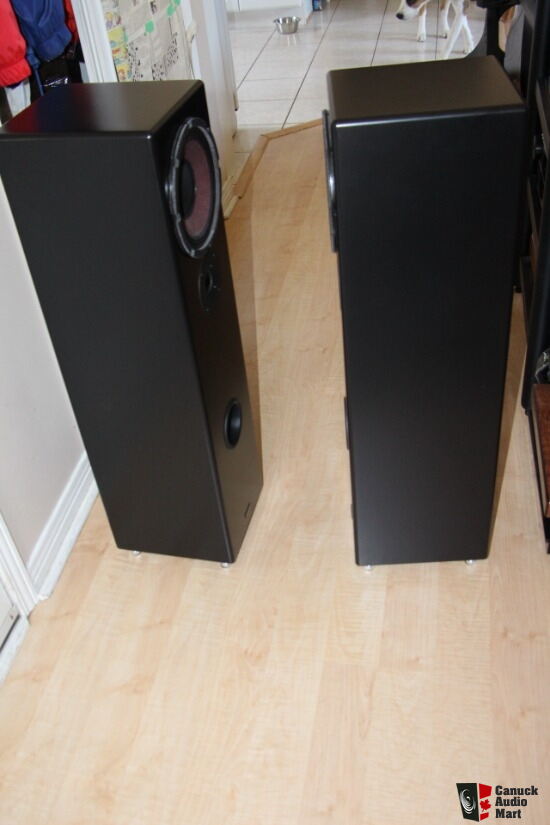 Tekton Design Mini Lore speakers Photo #4497351 - US Audio Mart