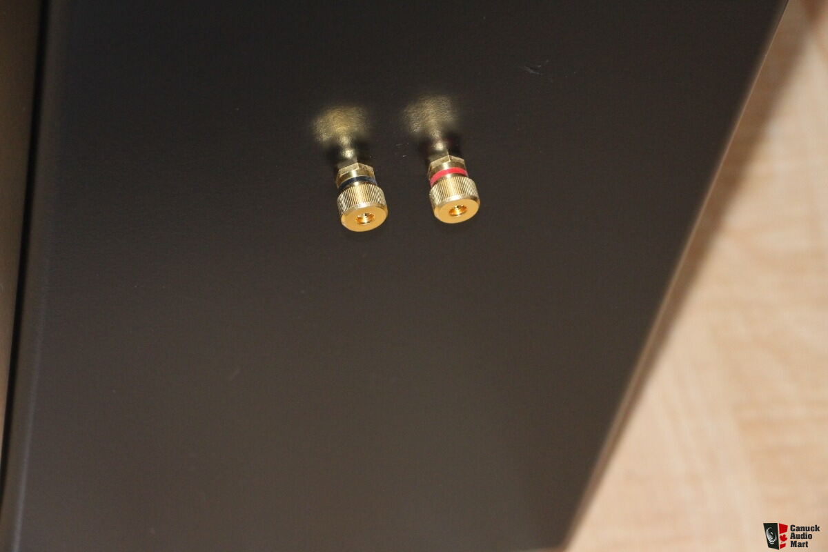 Tekton Design Mini Lore speakers Photo #4497349 - Canuck Audio Mart