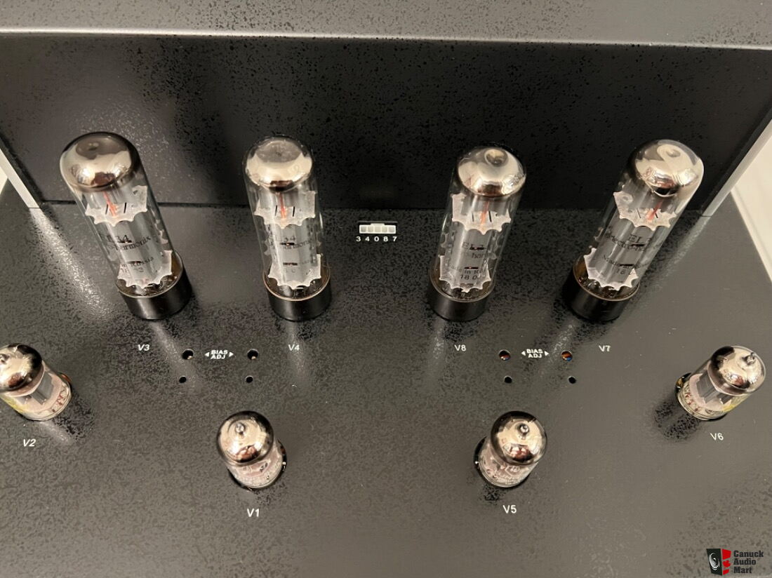 Black Ice Audio Tube Amp 3502S Photo #4497540 - Canuck Audio Mart