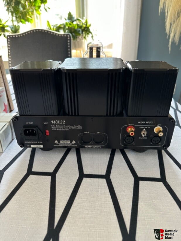 Woo Audio WA22 Black + New tubes Photo #4498200 - US Audio Mart