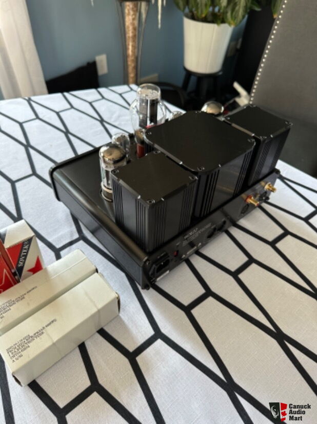 Woo Audio WA22 Black + New tubes Photo #4498200 - US Audio Mart