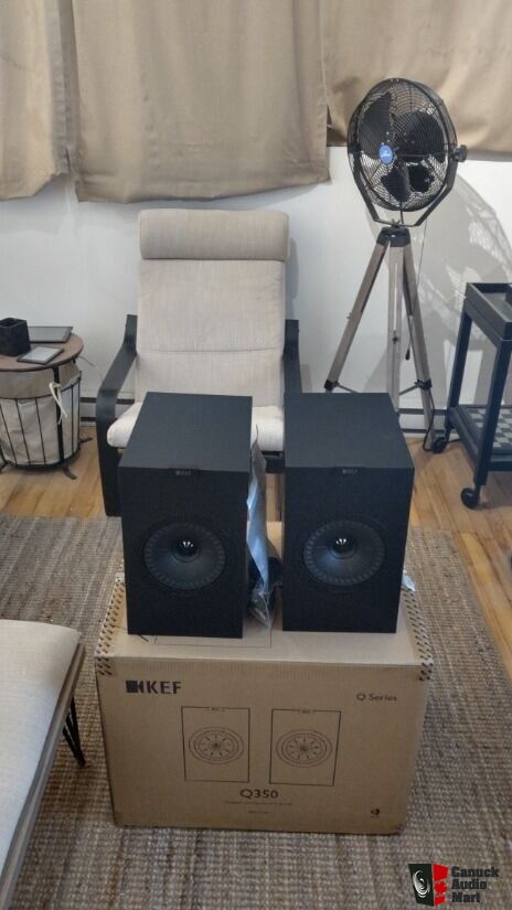 NEW OUT OF BOX KEF Q350 SATIN BLACK For Sale - Canuck Audio Mart