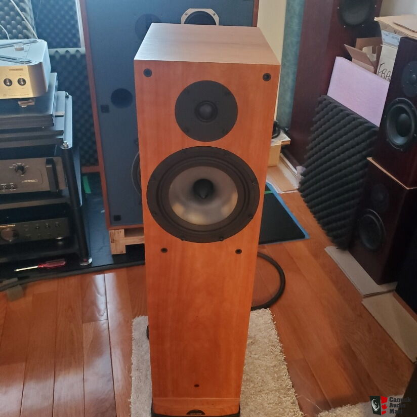 Spendor S8 e Tube Sounding Floor Standing Speakers Photo #4504470 - US ...