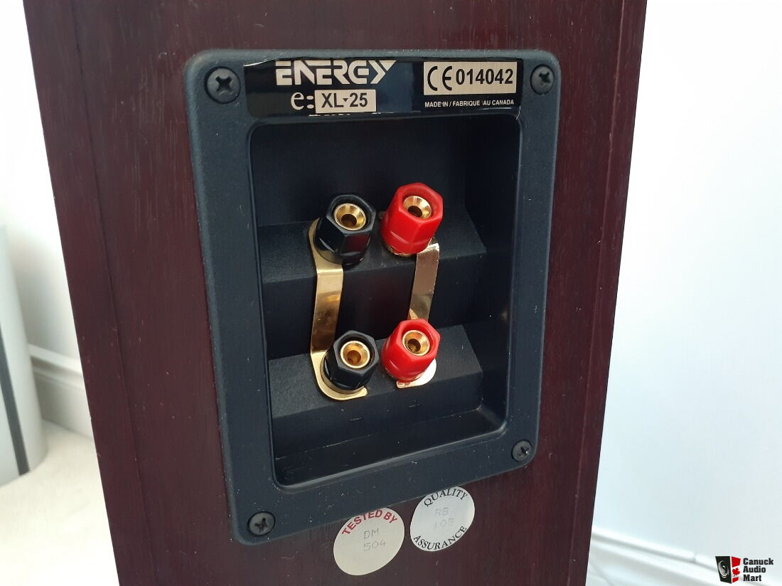 Excellent High-Quality Energy 2-Way Dual 5.5" Floor-Standing ...