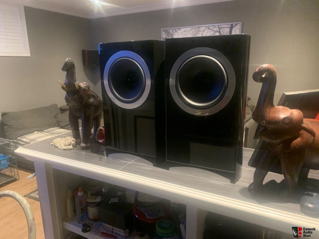 Tannoy DC-8 In Piano Black. Beautiful like new 10/10 Photo #4508816 ...