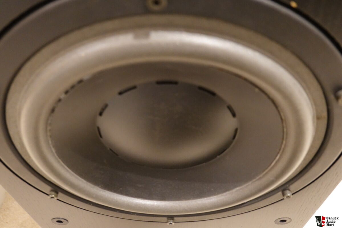 PMC AB1 Monitors - Excellent Condition Photo #4508910 - Canuck Audio Mart