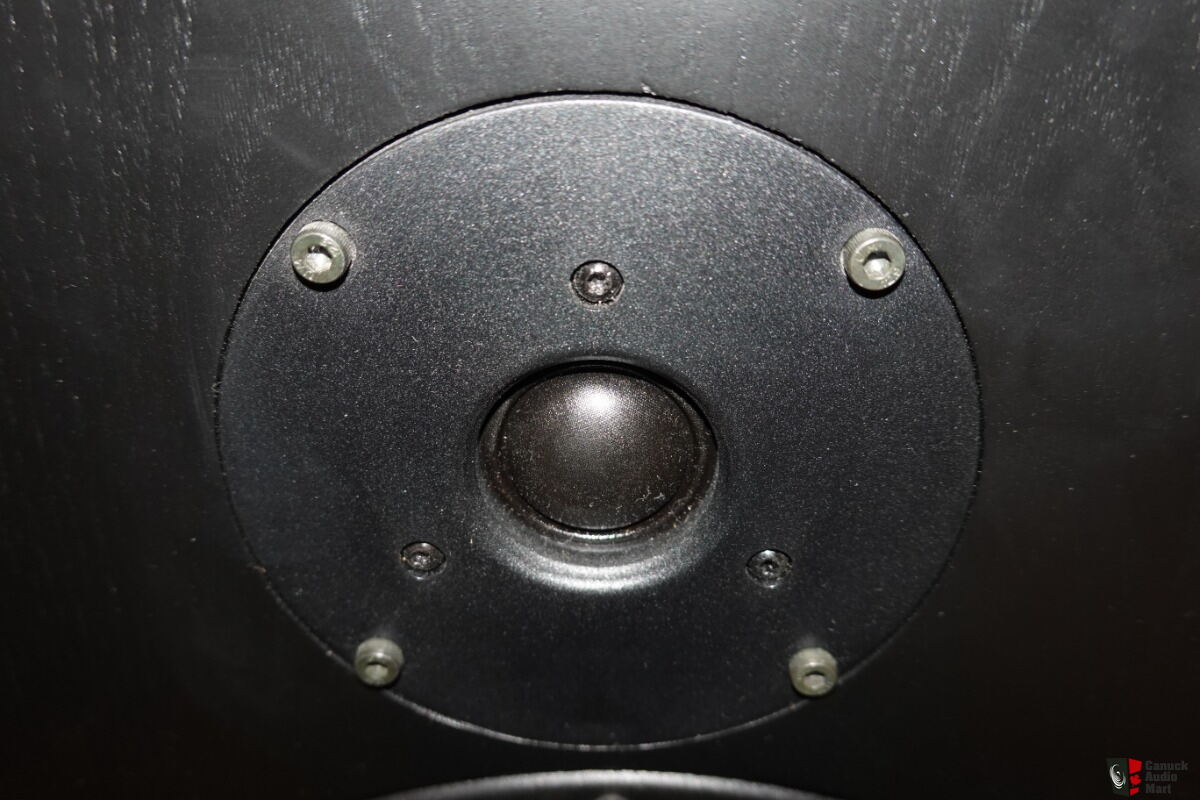 PMC AB1 Monitors - Excellent Condition Photo #4508917 - Canuck Audio Mart