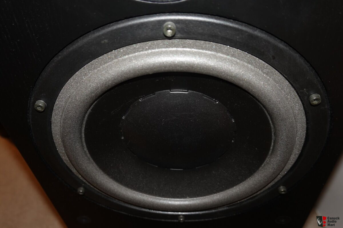 PMC AB1 Monitors - Excellent Condition Photo #4508918 - US Audio Mart
