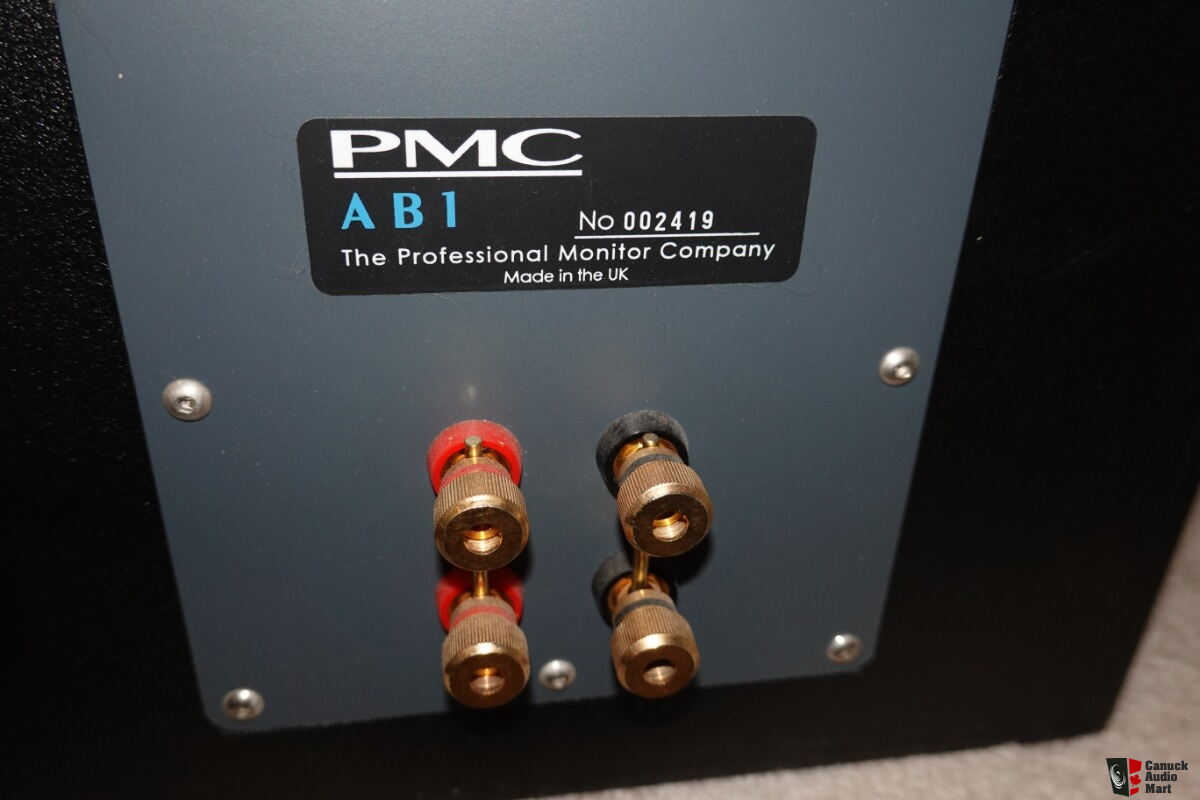 PMC AB1 Monitors - Excellent Condition Photo #4508920 - Canuck Audio Mart