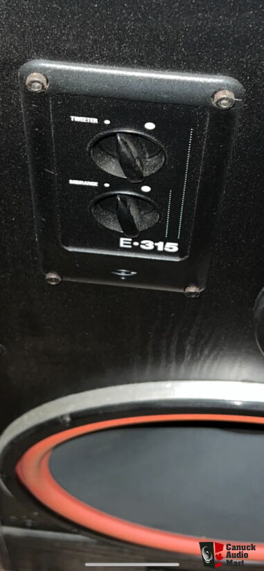 Wanted: Cerwin Vega E-315 speaker terminal cup / crossover with ...