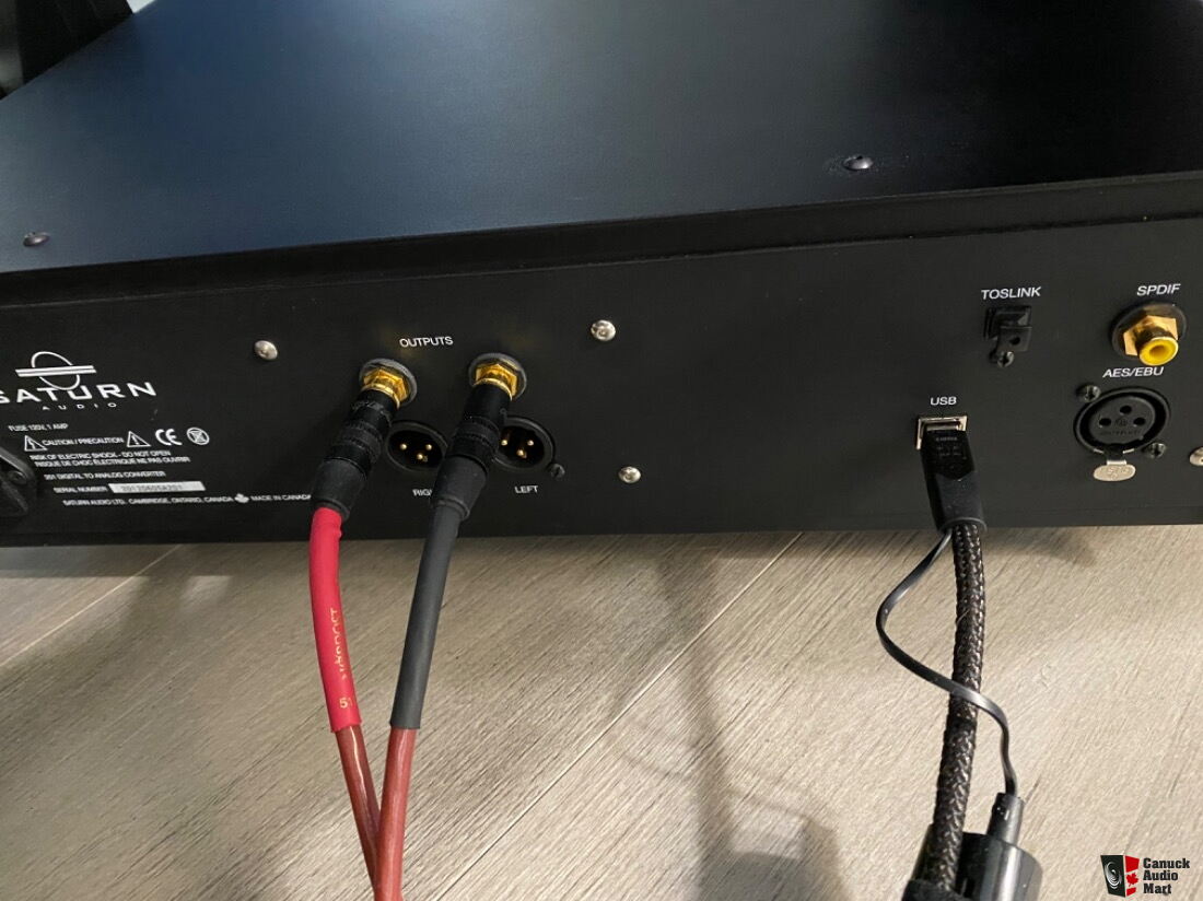 Saturn Audio - 200 Series DAC Photo #4516676 - Canuck Audio Mart