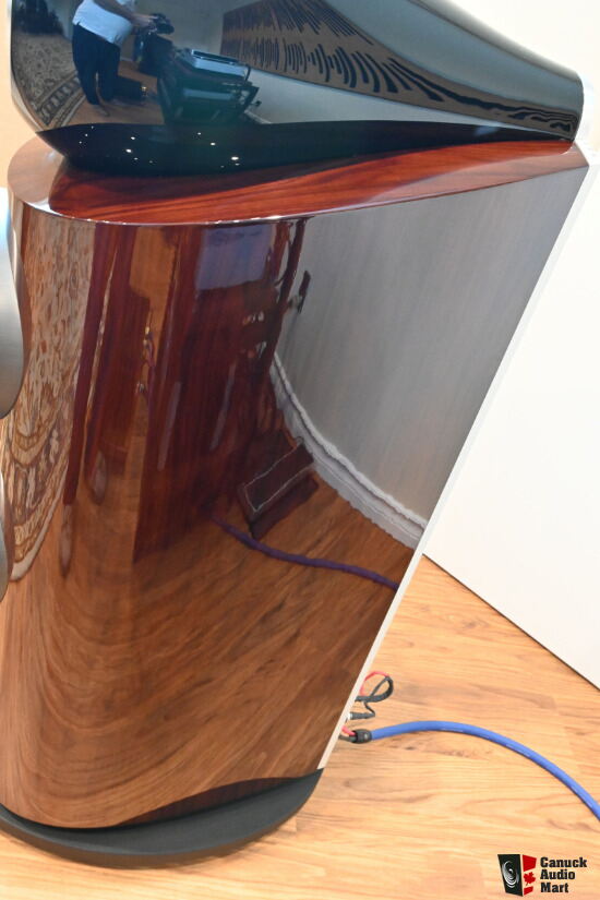 Bowers & Wilkins (B&W) 802 D3 Prestige Edition Santos Rosewood Photo ...