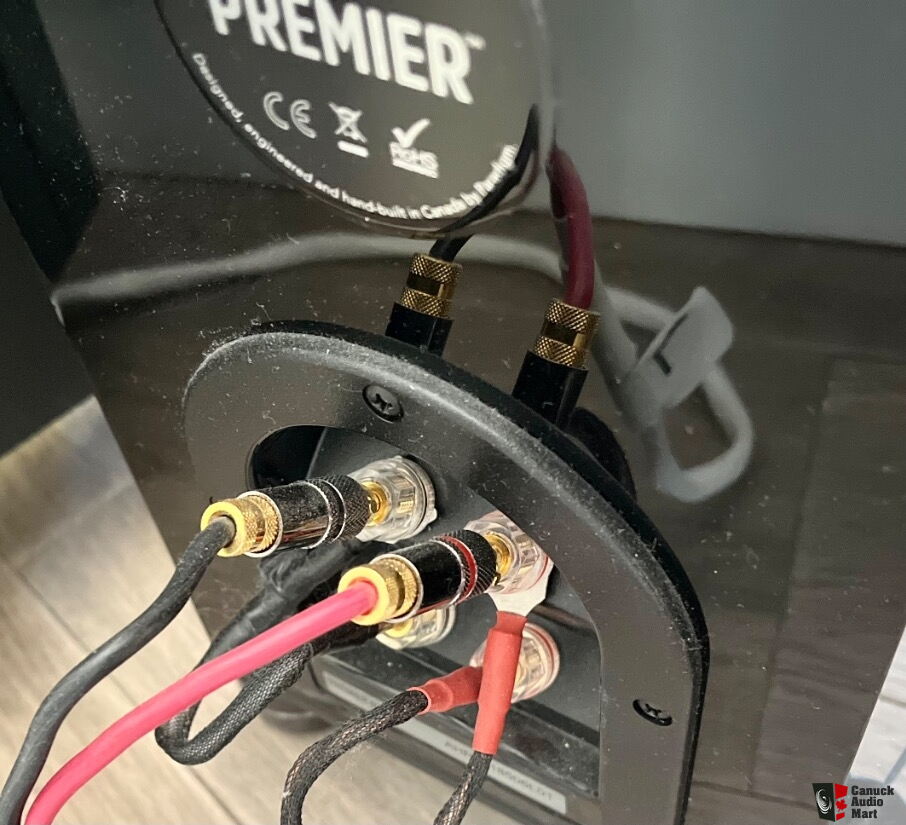 NEW PRICE Paradigm premier 800 f isoacoustics / Kimber upgrades Photo ...