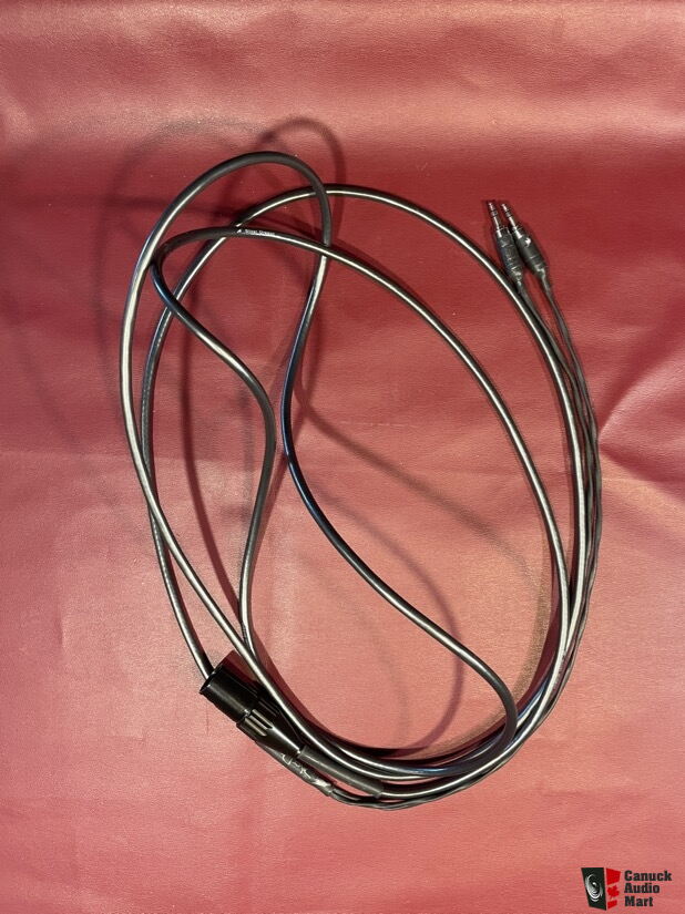 Moon Audio Silver Dragon Sony Headphone Cable with 4 pin XLR Photo ...