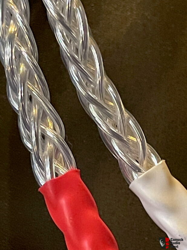Nice - Terminated Speaker Cables 11ft x 2 For Sale - Canuck Audio Mart