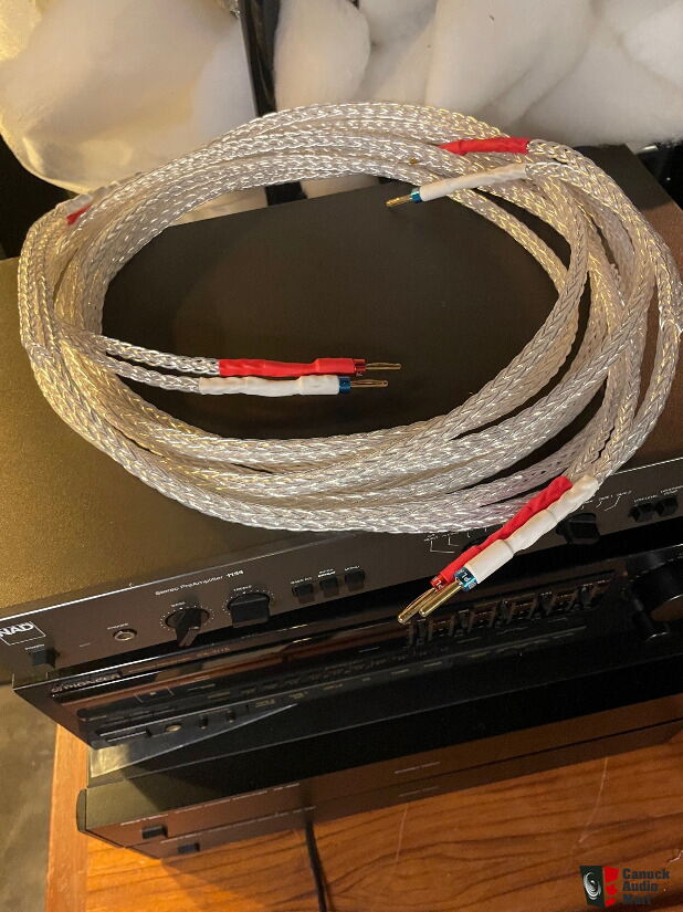 Nice - Gold Banana Speaker Cables 11ft x 2 Photo #4523871 - Canuck ...