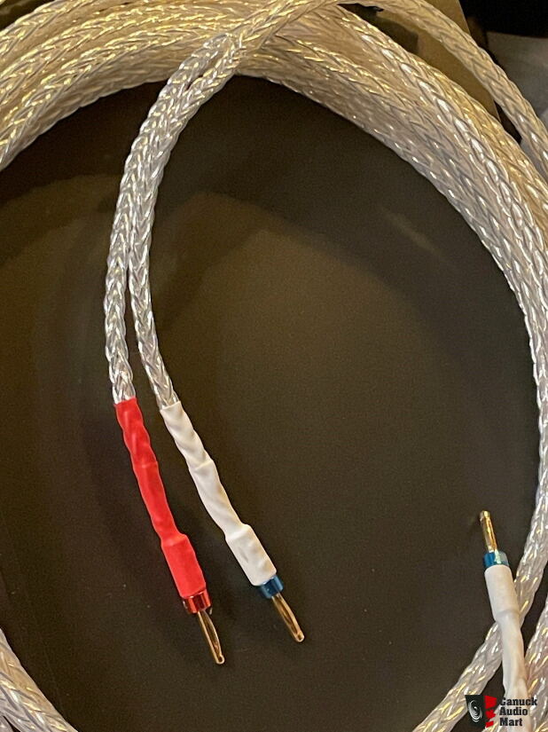 Nice - Gold Banana Speaker Cables 11ft x 2 Photo #4523870 - Canuck ...