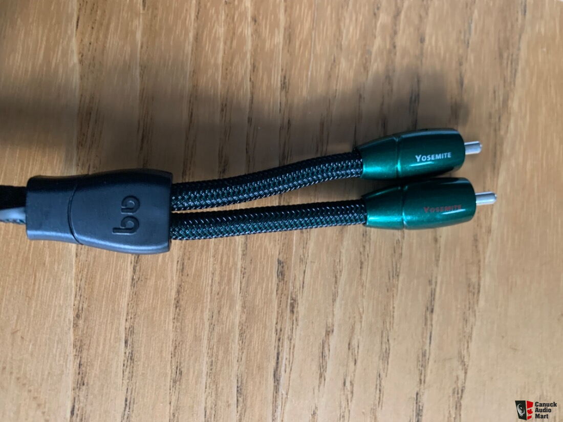 Audioquest Yosemite 3.5mm to RCA with 72V DBS 1m Length Photo #4523957 ...