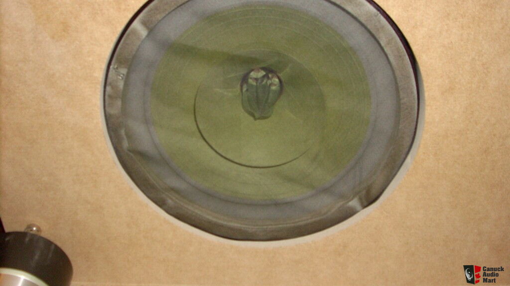Coral Beta 8 A full range drivers * Pending sale to Tor. Photo #452654 ...