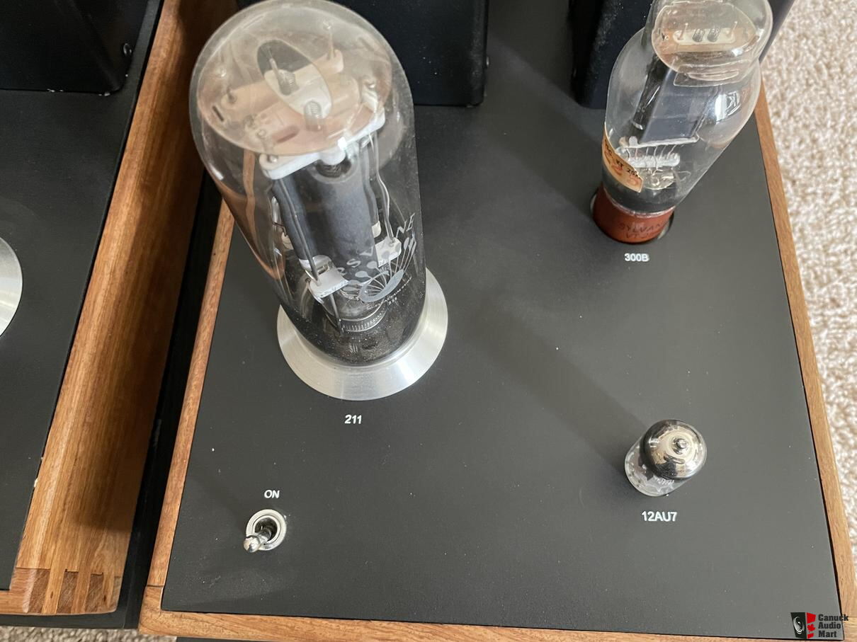 Unique Monoblock Tube Amps Photo #4527652 - Canuck Audio Mart