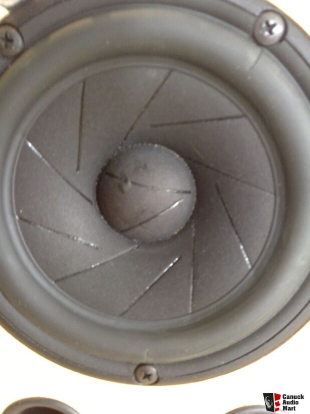 Home made speakers Scanspeak and Raal tweeter Photo #4540217 - Canuck ...