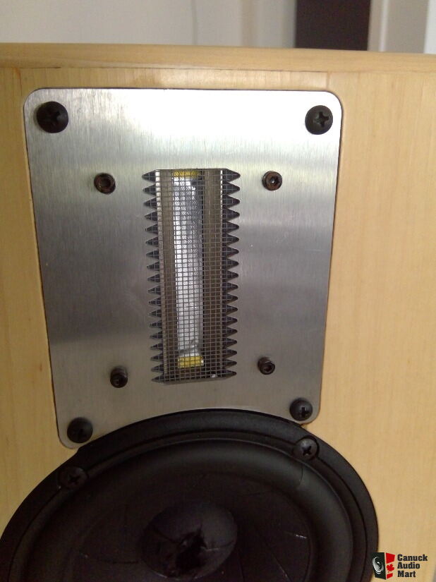 Home made speakers Scanspeak and Raal tweeter Photo #4540210 - US Audio ...