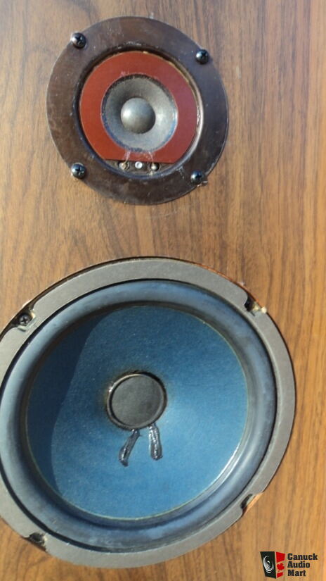 Marantz 5G speakers Photo #4548719 - US Audio Mart