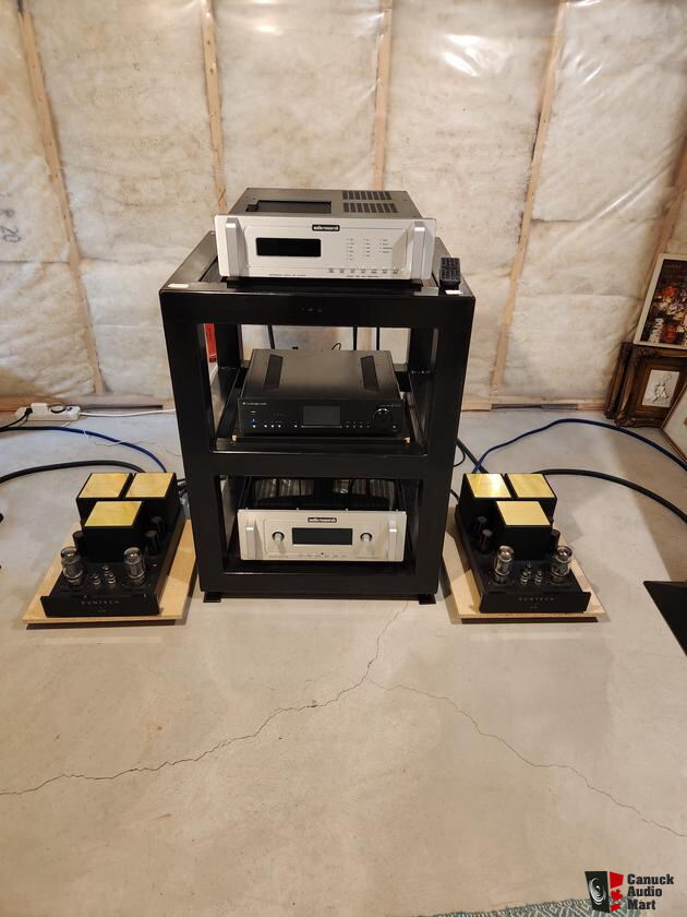 Duntech M150 tube monoblocks amplifiers Photo #4550046 - US Audio Mart