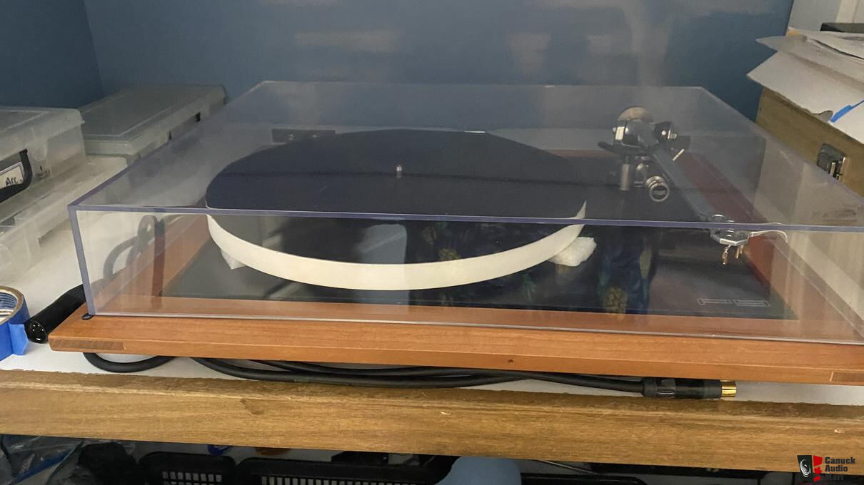 Rega P9 Photo #4552889 - Canuck Audio Mart
