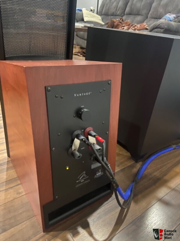 Complete Martin Logan / Bryston system Photo #4553204 - US Audio Mart
