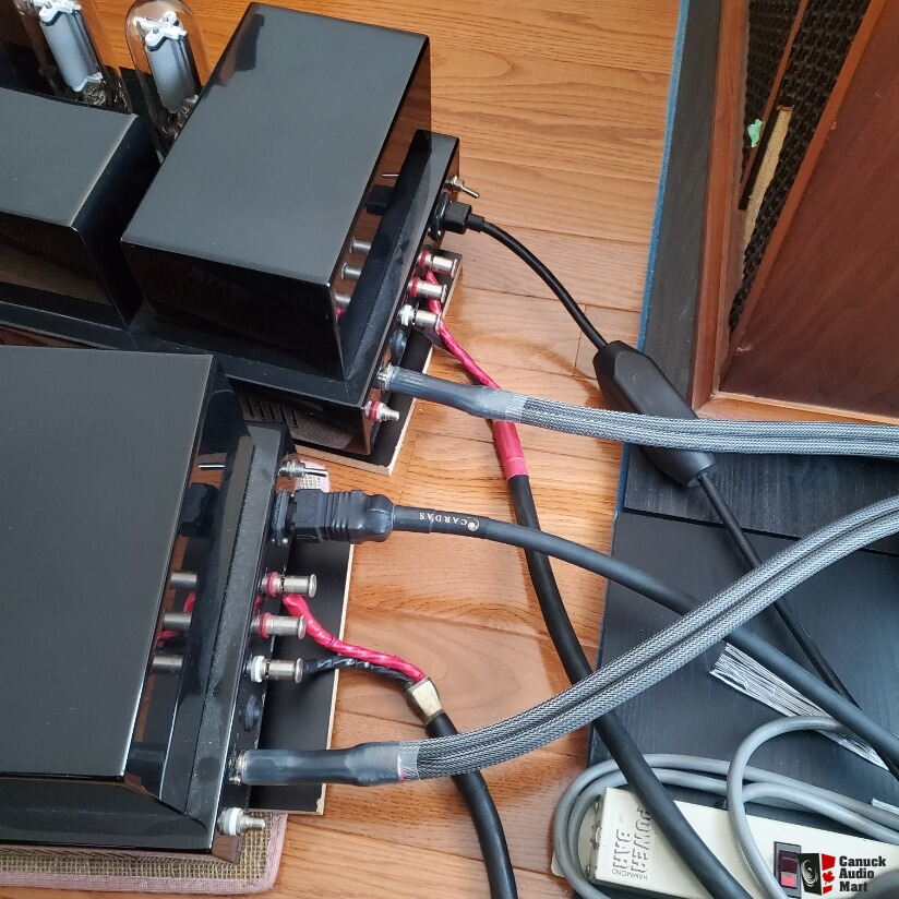 Melody Tube Mono Blocks PM845 80 W/C Class "A " Power Amp Photo ...
