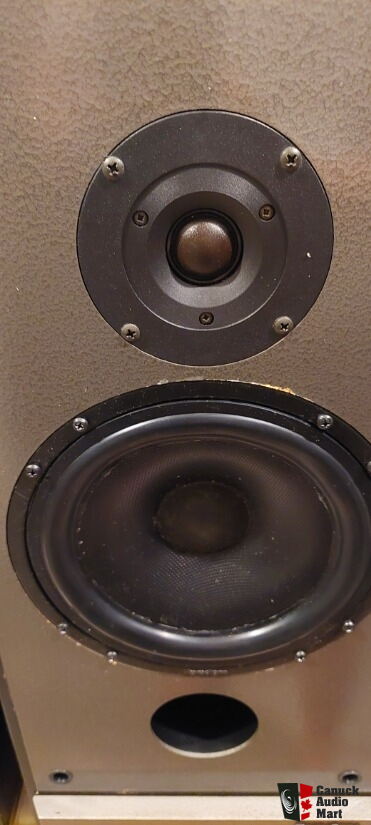 Paradigm Export Monitor Photo #4554815 - Canuck Audio Mart
