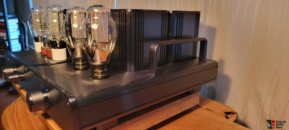 Woo Audio WA5 LE 300B 1st Gen Photo #4558651 - US Audio Mart