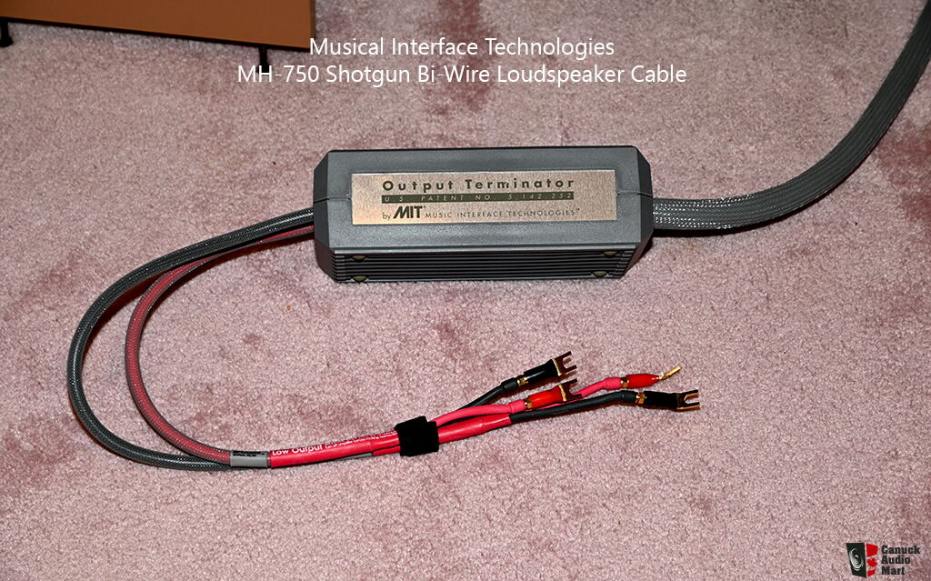 Scan-Speak Revelator Reference (custom built), Velodyne subwoofer, MIT ...