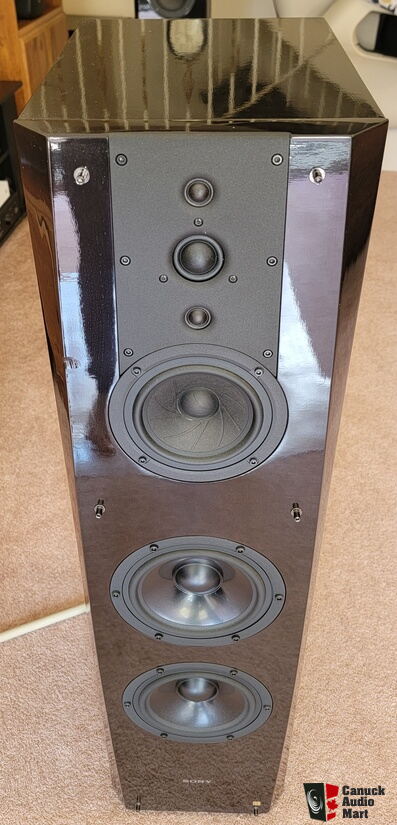 SONY SS-NA2ES Stereo Floor-Standing Speakers MSRP: USD $10,000 Photo ...