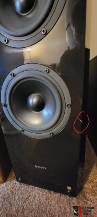 SONY SS-NA2ES Stereo Floor-Standing Speakers MSRP: USD $10,000 Photo ...