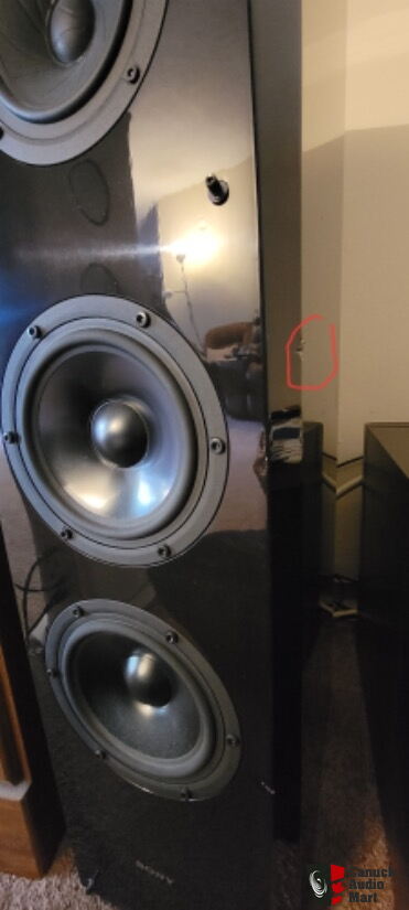 SONY SS-NA2ES Stereo Floor-Standing Speakers MSRP: USD $10,000 Photo ...