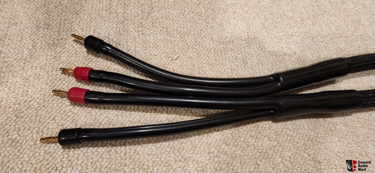 Transparent Music Wave Super Speaker Cables (Bi-Wire)- 8ft. Pair Photo ...