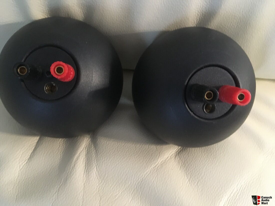 Anthony Gallo Acoustics Nucleus Micro speakers Photo #4564563 - US ...