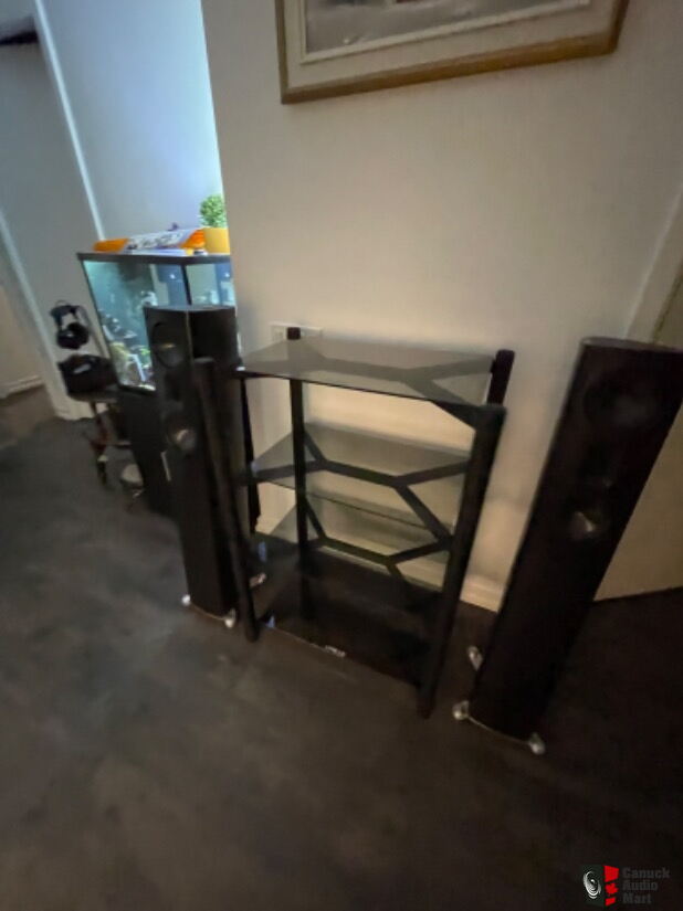 Apollo audio stand Photo #4567289 - Canuck Audio Mart