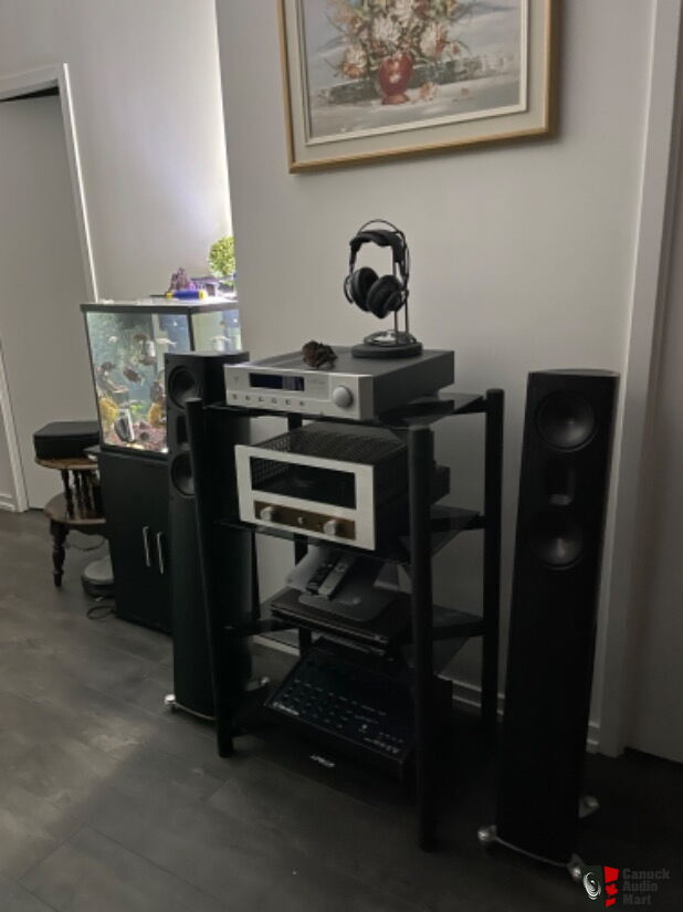 Apollo audio stand Photo #4567291 - Canuck Audio Mart