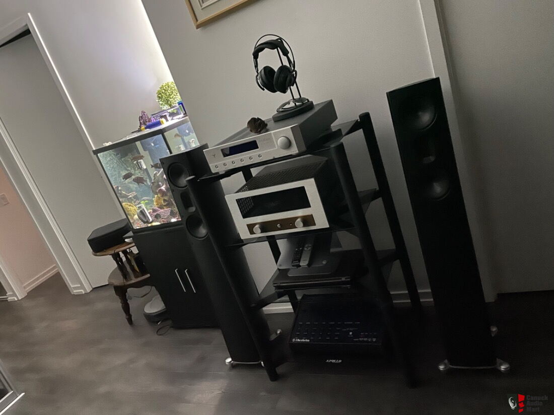Apollo audio stand Photo #4567292 - Canuck Audio Mart
