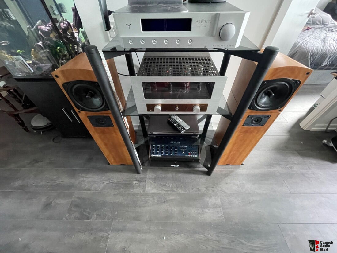 Apollo audio stand Photo #4567287 - Canuck Audio Mart