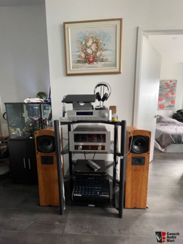 Apollo audio stand Photo #4567289 - Canuck Audio Mart